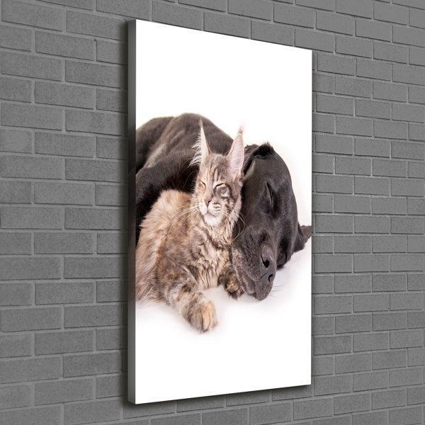 Ebern Designs Hund und Katze - Kunstdruck auf Leinwand - Wrapped Canvas | Wayfair.de